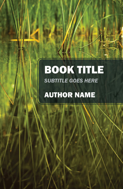 Outskirts Press Professionally Designed eBook Cover Style with ...